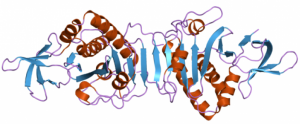 BioID – Northwestern Proteomics